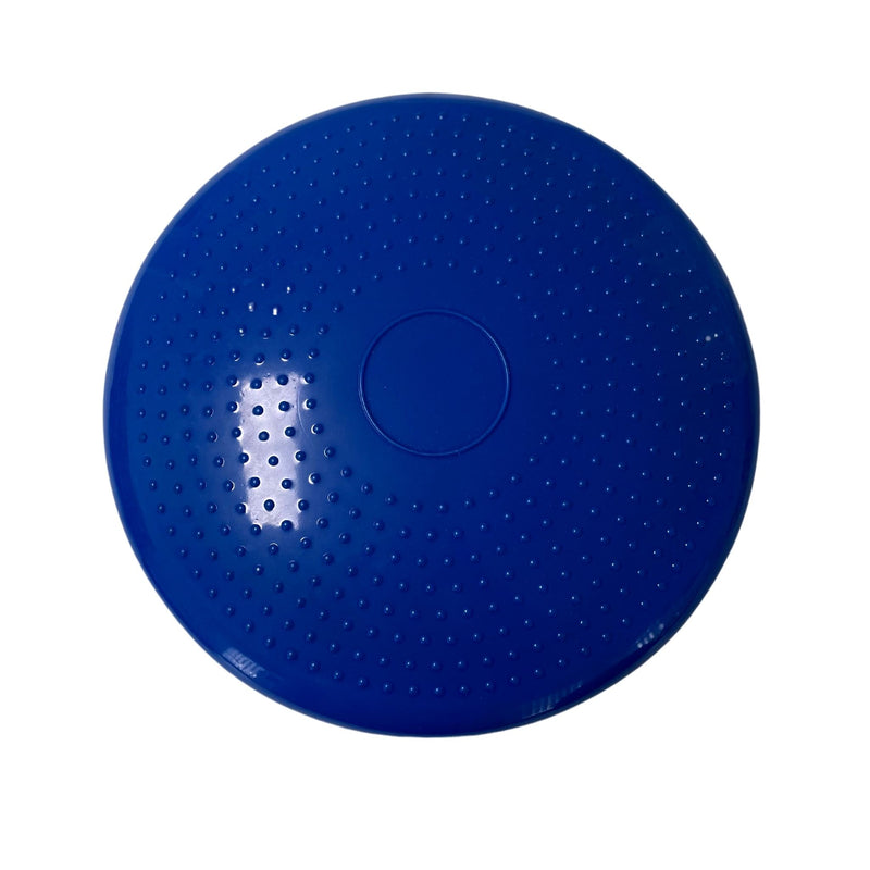 Balance Disc – Critical Bench